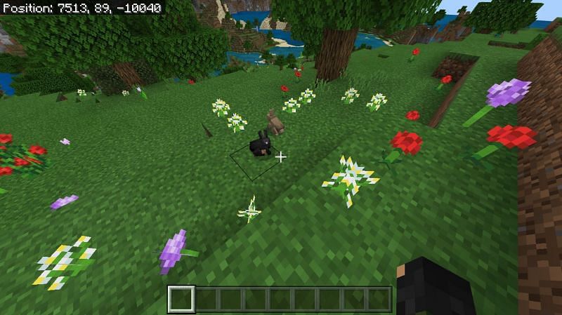 where to find rabbits in minecraft
