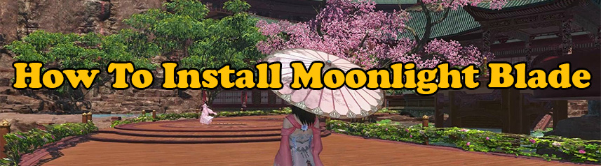 How To Install And Play Moonlight Blade
