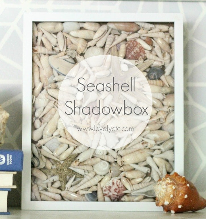 How To Mount Seashells In A Shadow Box