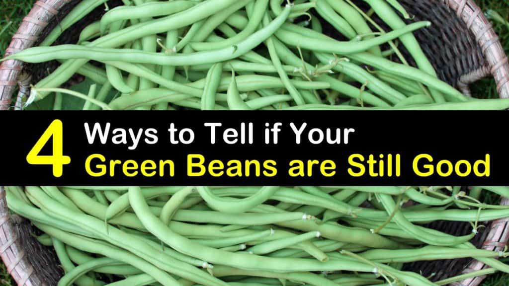 How To Tell If Green Beans Have Gone Bad