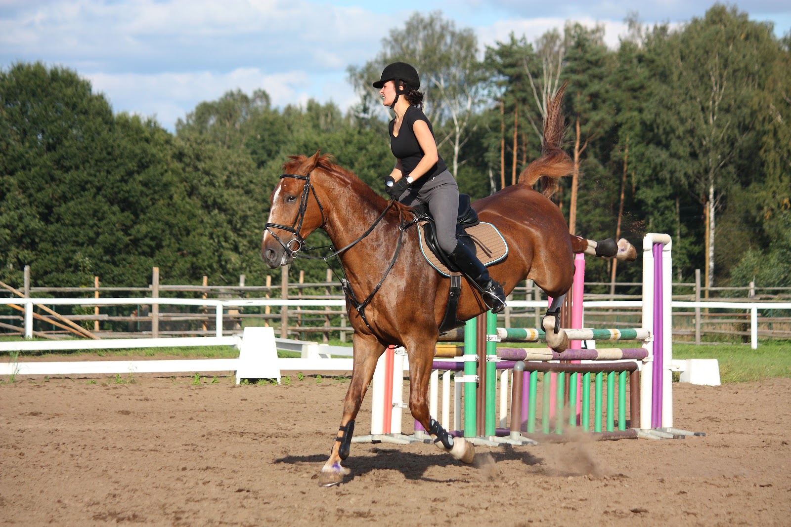 How To Tell If Your Horse Needs Hock Injections