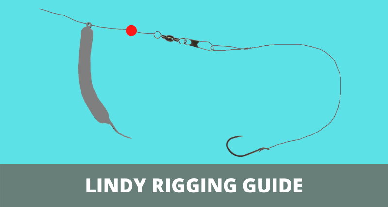 how to use a lindy rig