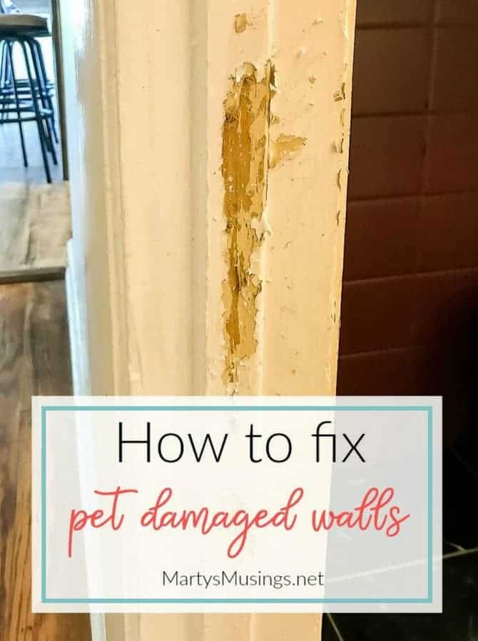How To Fix Dog Scratches On Wall