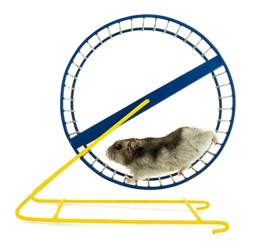 How To Make A Hamster Wheel Silent