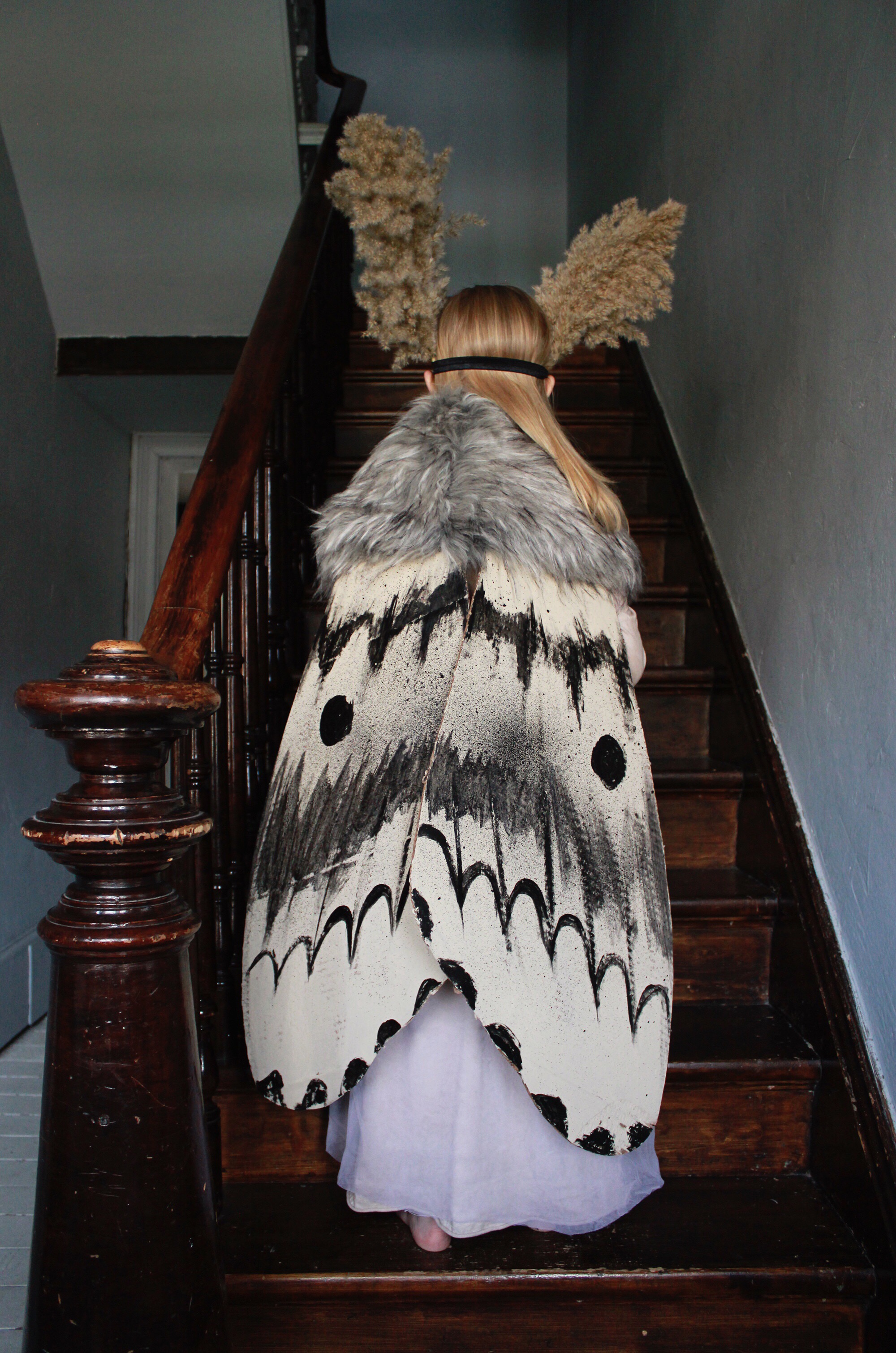 How To Make A Moth Costume
