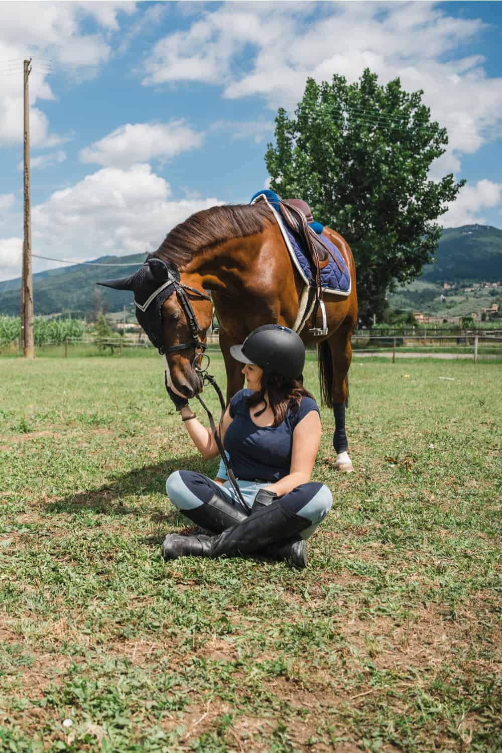 6 Easy Steps To Break A Horse