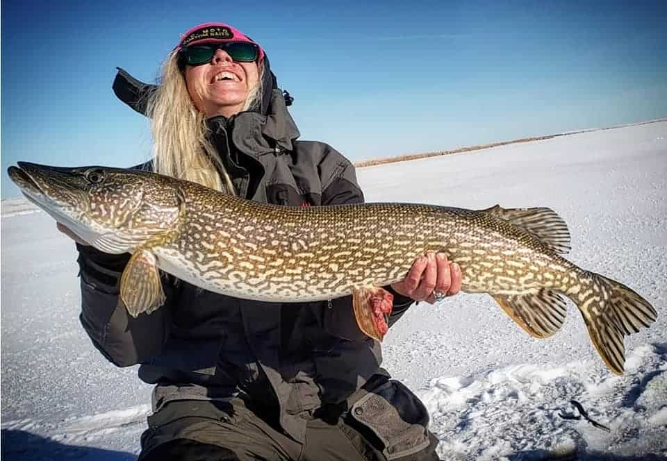 How To Catch Pike Ice Fishing