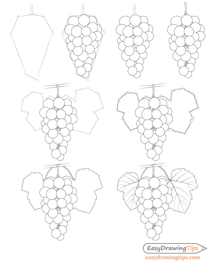 How To Draw A Grape Vine
