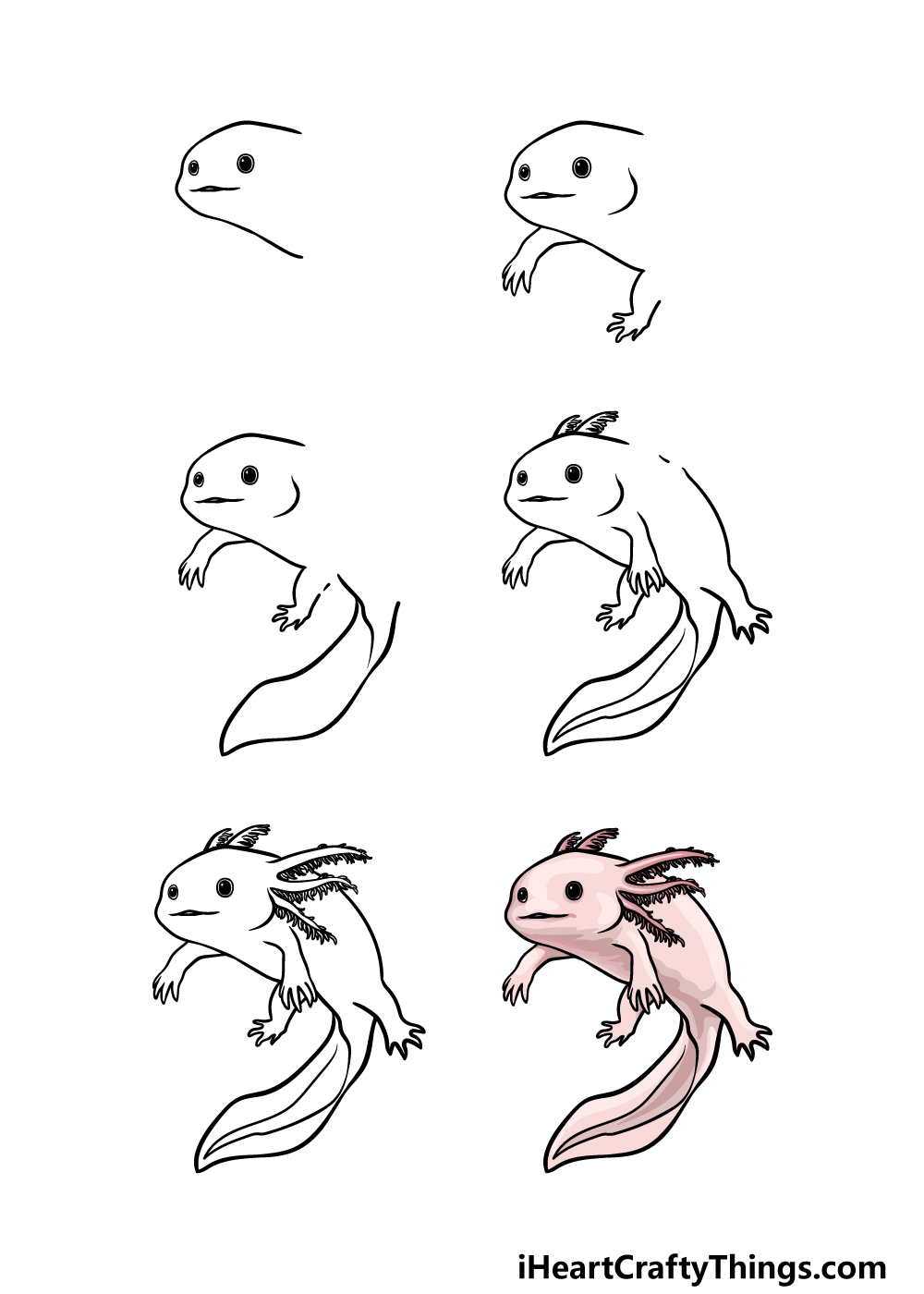 How To Draw An Axolotl